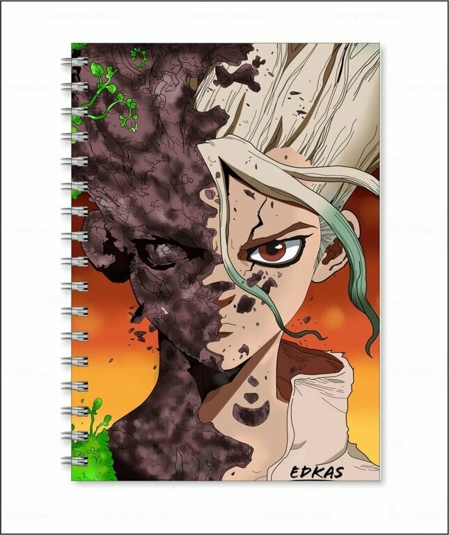 Тетрадь доктор стоун, DR. STONE №8