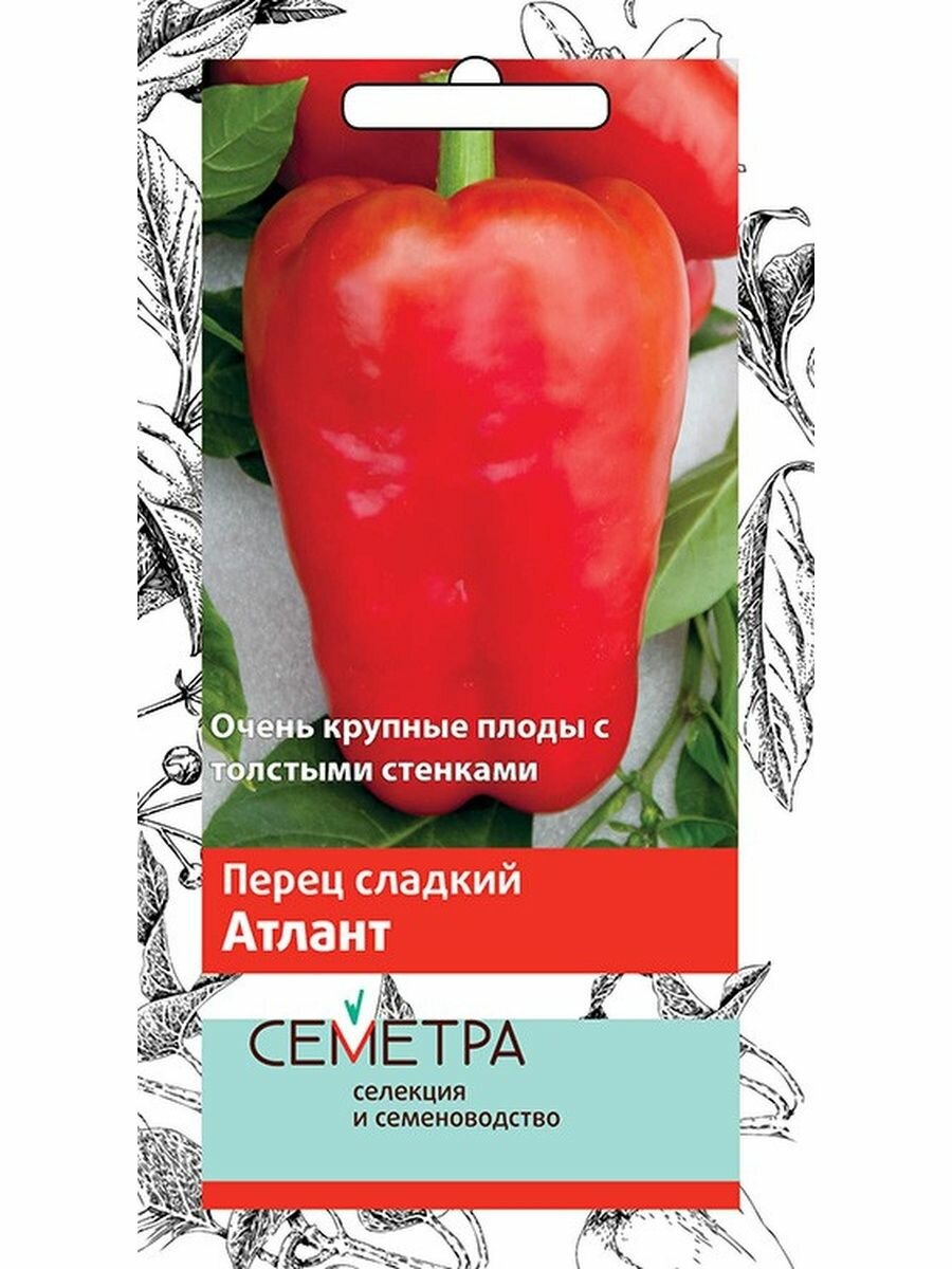 Перец сладкий Атлант 0,25гр /10(Семетра)