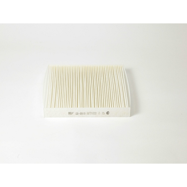 BIG FILTER GB9919 (08R79SEA000A / 80290SDAA01 / 80290SDCA01) фильтр салона\ acura mdx / rdx / tl / tlx / tsx / zdx, haval h6, Honda (Хонда)
