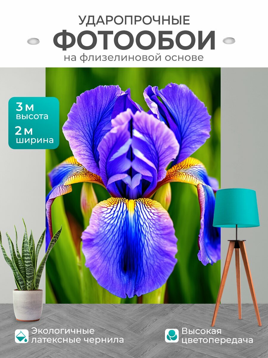 Фотообои моющиеся ударопрочные "Макро-фотография цветка ириса" 200x300 см. флизелиновые на стену