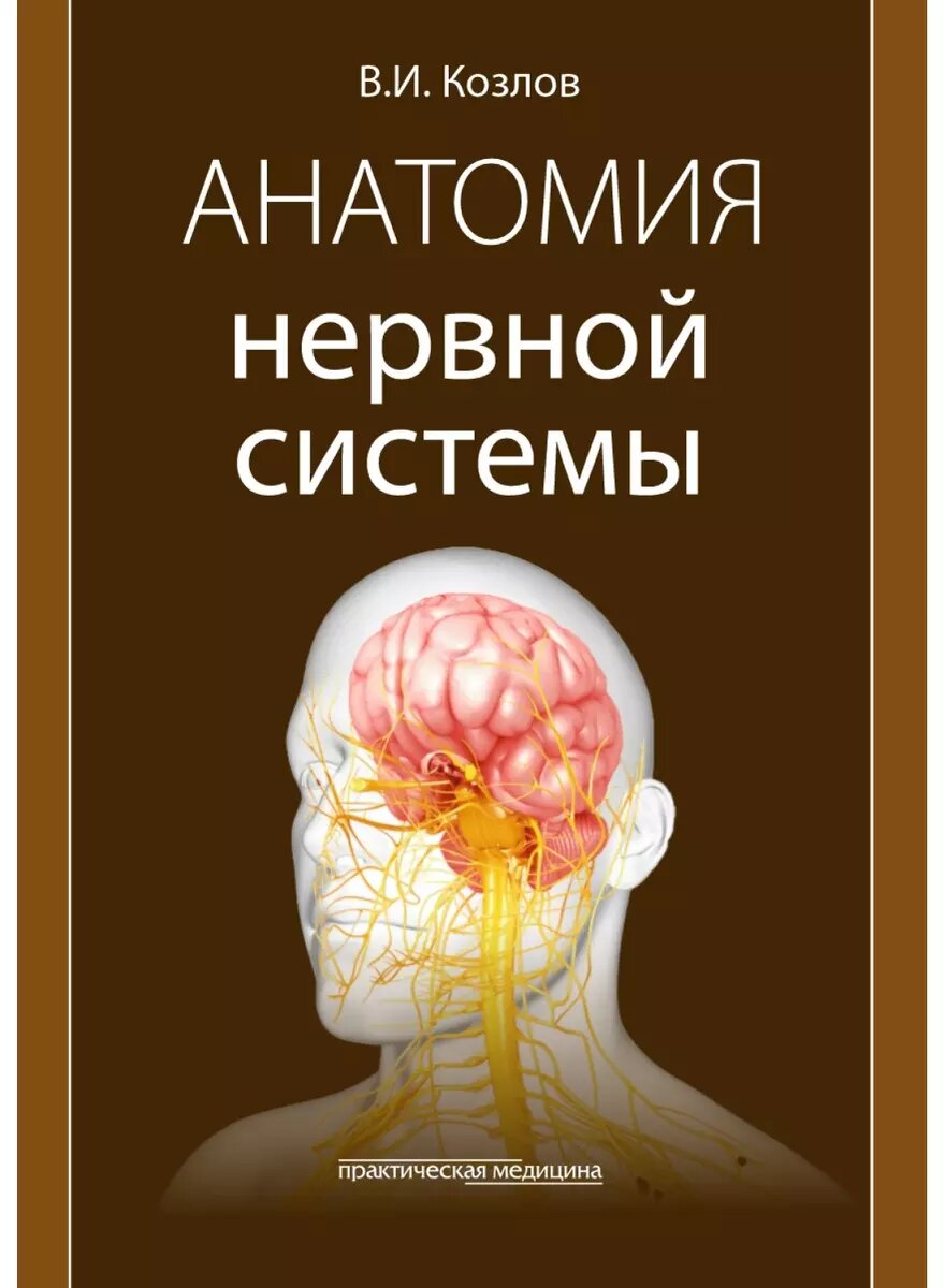 Учебное пособие Практическая медицина Анатомия нервной системы. Козлов В. И, 2024