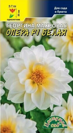 Семена Георгина Опера F1 Белая махровая Цветущий сад