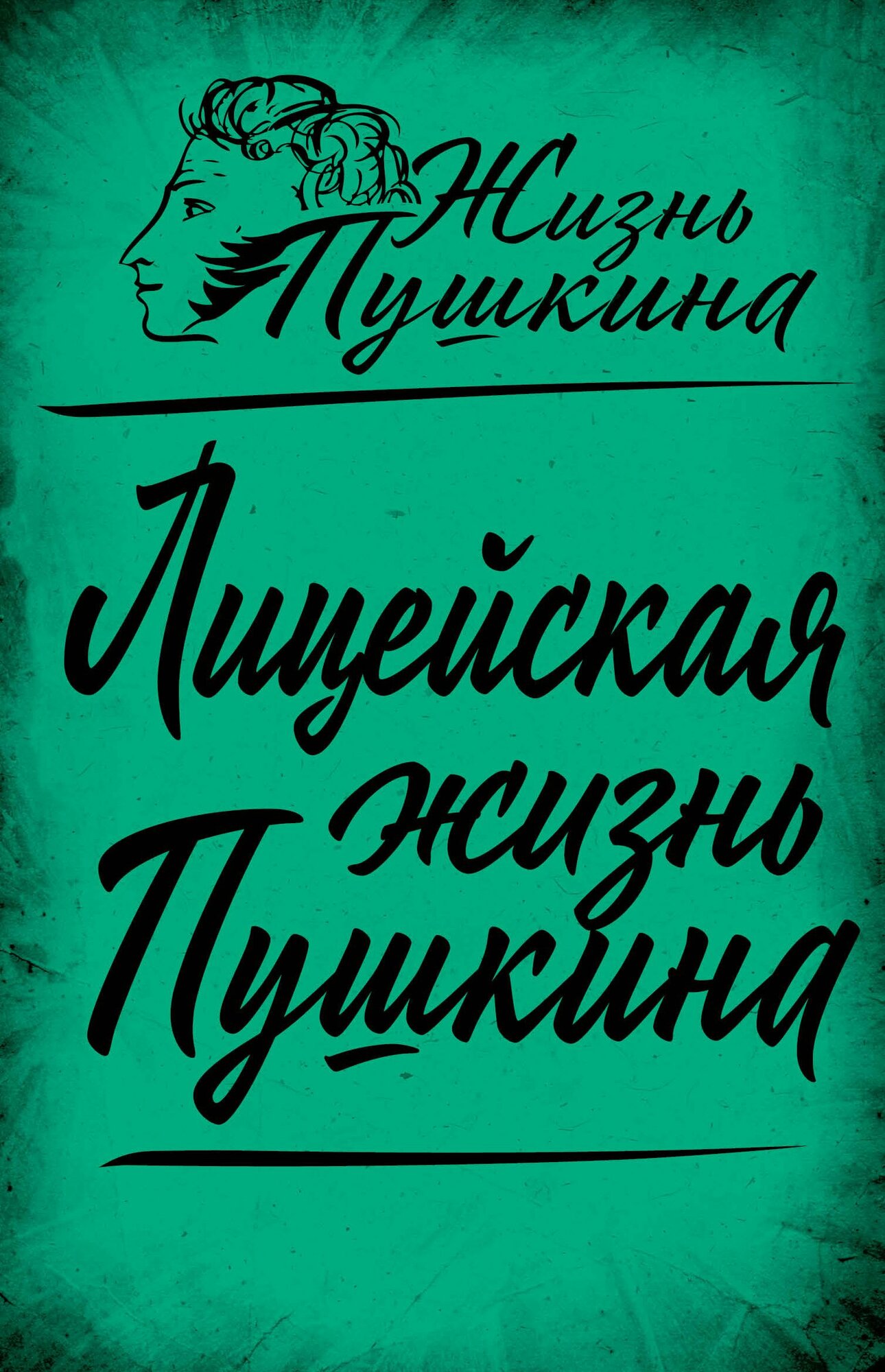 Лицейская жизнь Пушкина (Жизнь Пушкина)_Замостьянов А. А, 256 стр.