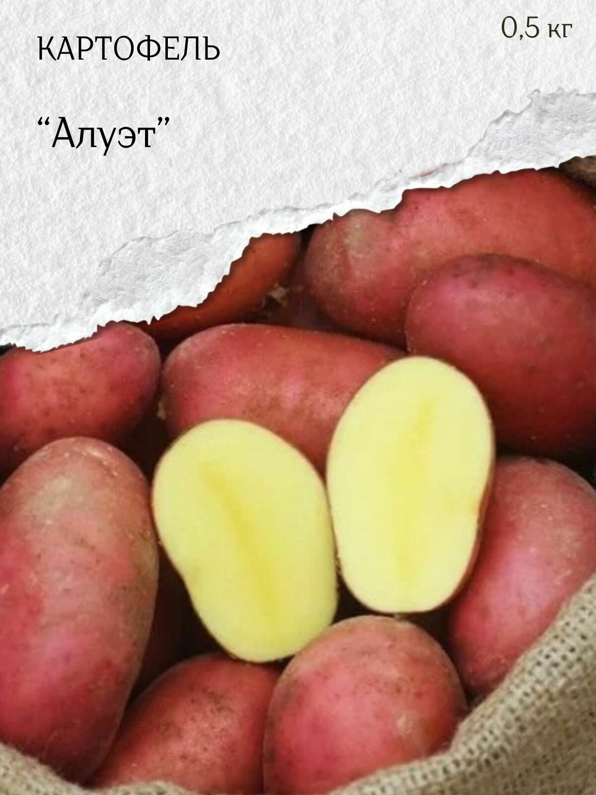 Картофель семенной красный Алуэт клубни на посадку 500 гр.