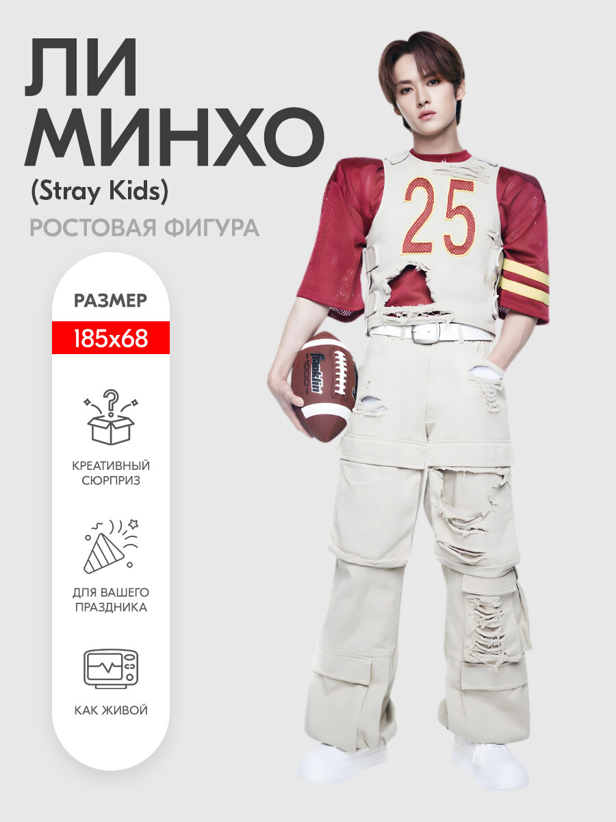 Аксессуар для фотосессий, Indoor-ad, Ли Минхо (Ли Ноу) (Stray Kids) ростовая фигура 1
