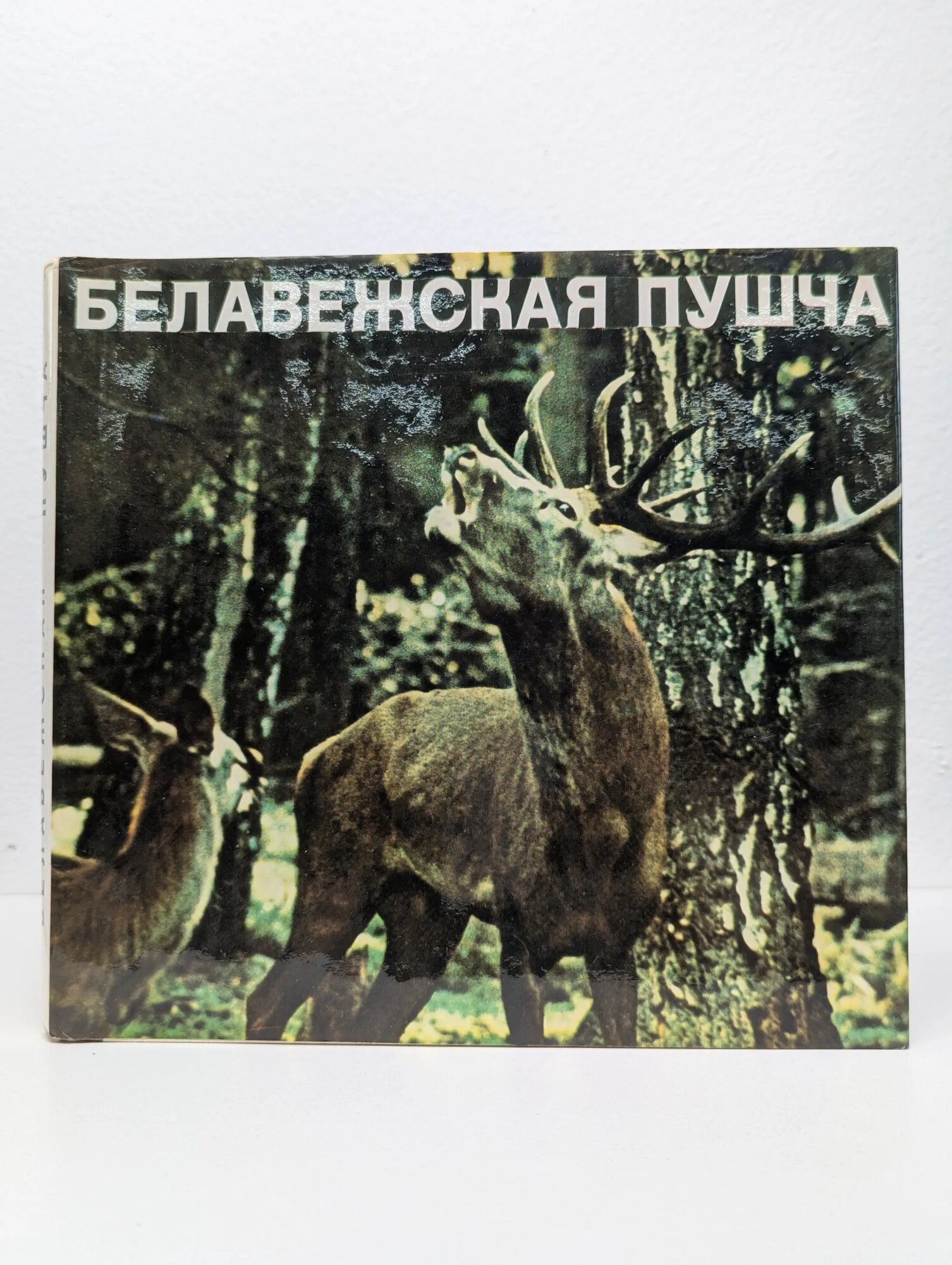 Беловежская пуща Сборник 1973