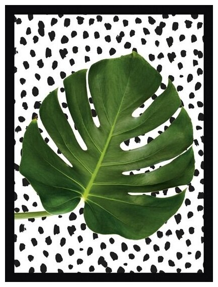 Постер в раме G&C art studio 2714F 500х700