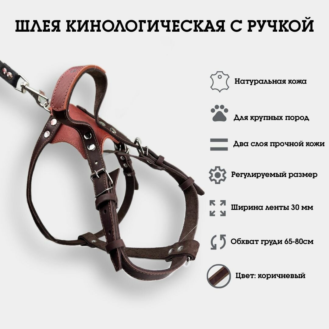 Шлея кинологическая из натуральной кожи, для крупных собак, два слоя, с ручкой, усиленная, регулируемая