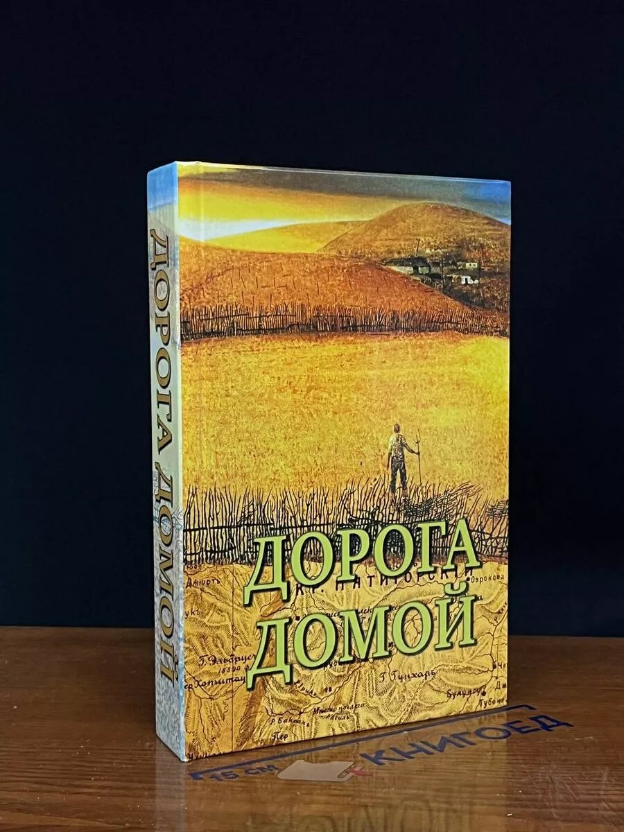 Книга. Дорога домой 2011 (2040770909590)