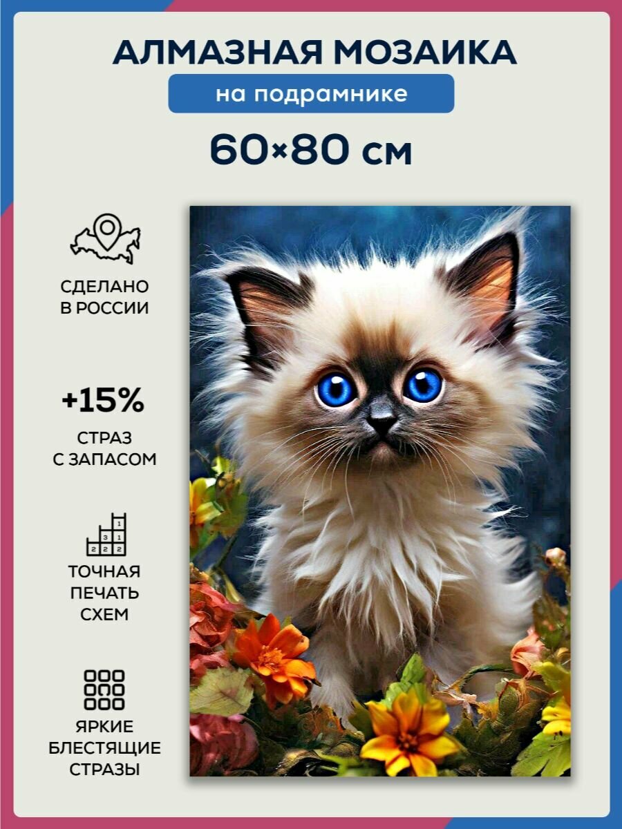 Алмазная мозаика 60x80 Сиамский котёнок на подрамнике