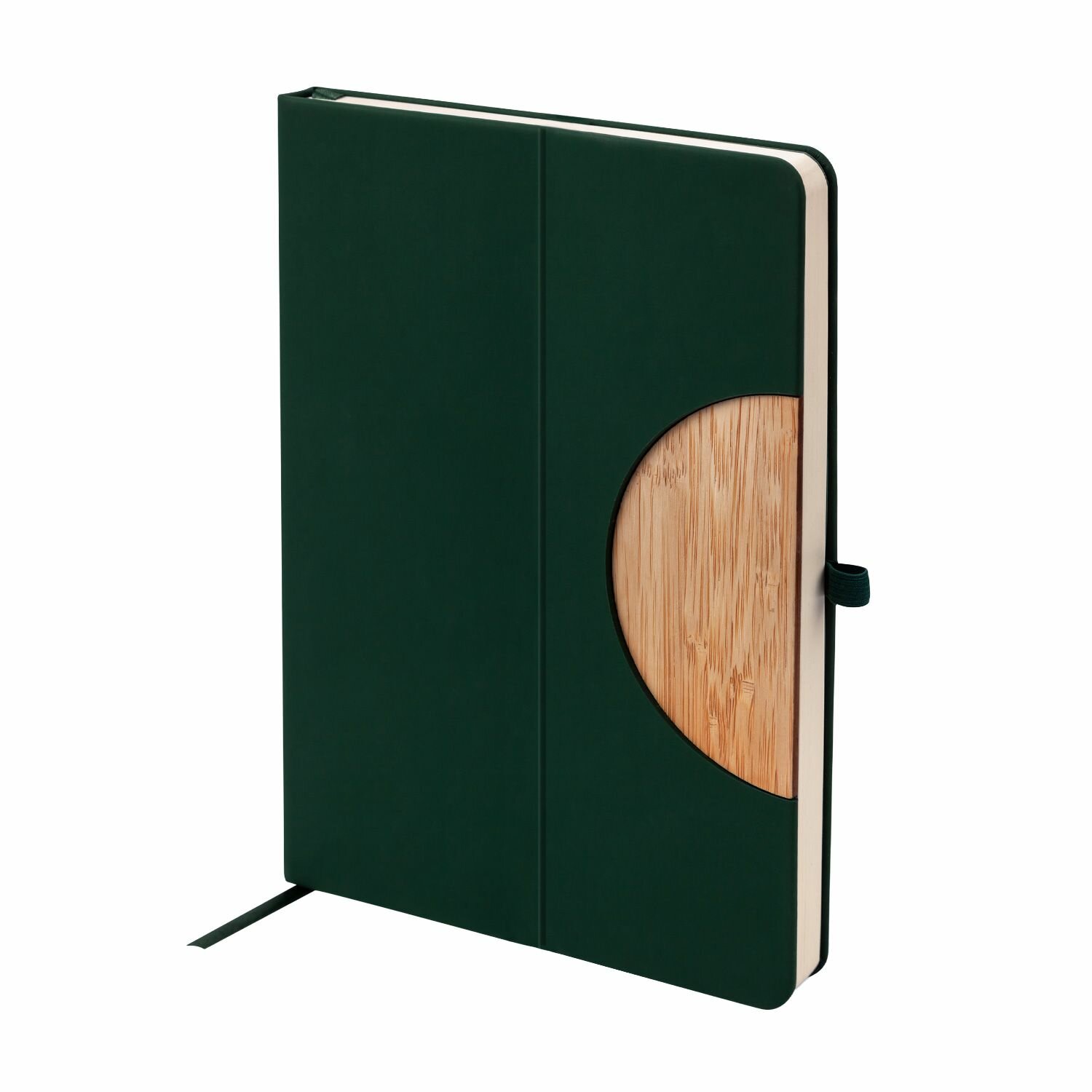 Ежедневник недатированный а5 Bruno Visconti "BOSFORO"/ блокнот для записей в линейку зеленый арт.3-690/04