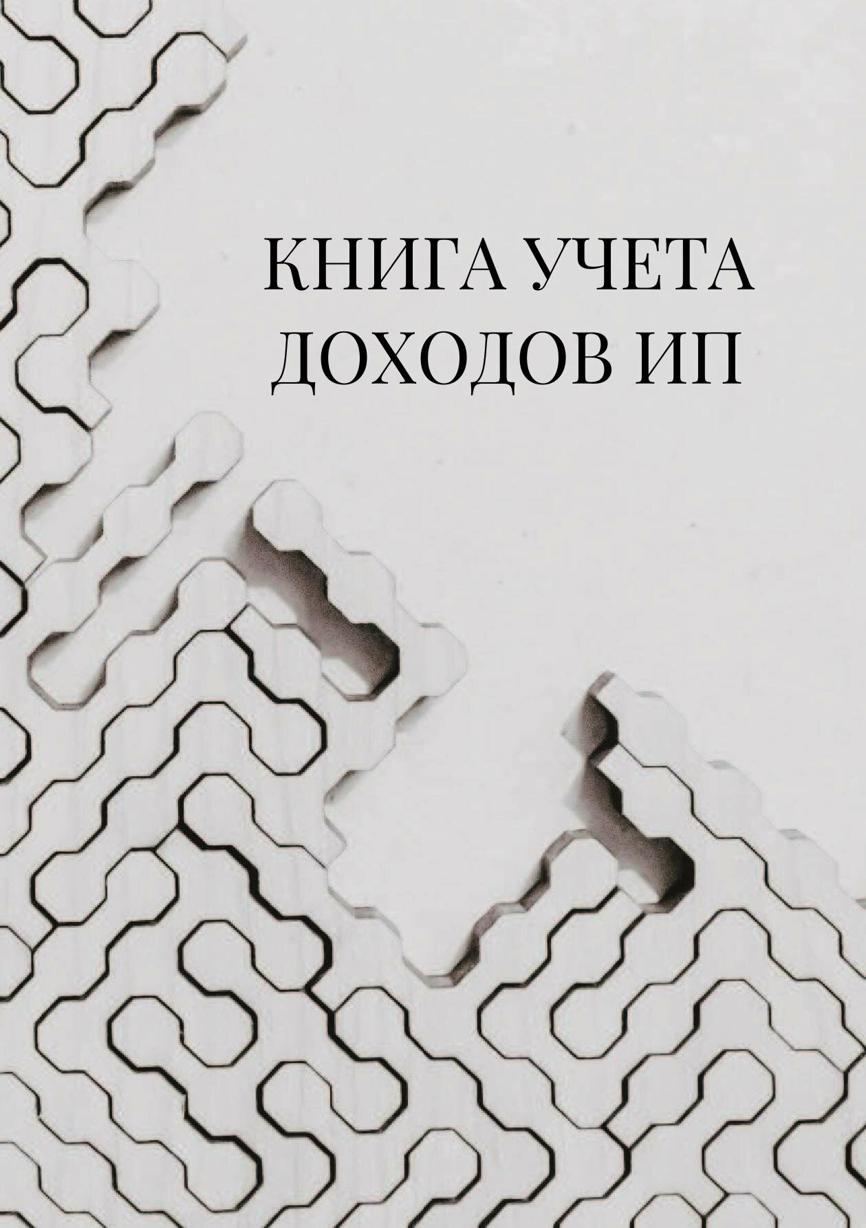 Книга учета доходов для ИП на патенте