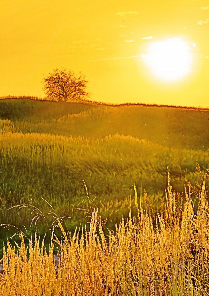 Постер. Россия. Времена года. Лето. Пушкиногорье. Формат А3.