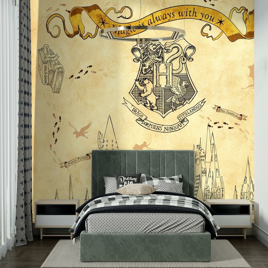 Фотообои Гарри Поттер 14-774-S-Флок 270 x 200 см (ВхШ) Бесшовные, флизелиновые, влагостойкие обои MasterFresok