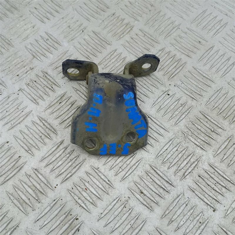 Б/У Петля двери передней правой нижняя Hyundai Sonata 4 Тагаз EF / Хендай Соната 4 Тагаз EF 2.7 G6BA 172Л.С 2006