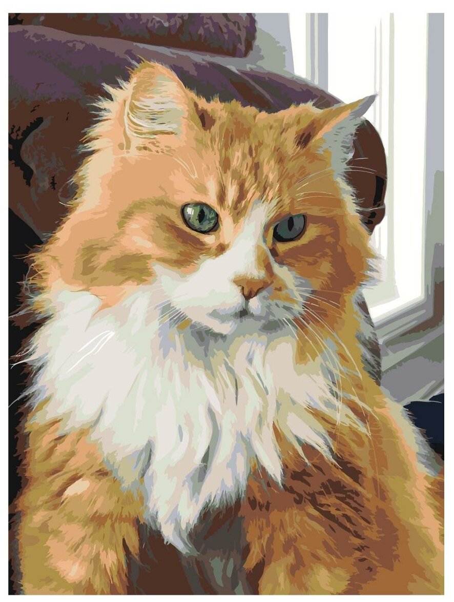 Картина по номерам, "Живопись по номерам", 60 x 80, ets489v2-3040, кот, рыжий, котёнок, животное, домашний, питомец, пушистый, окно, диван, портрет