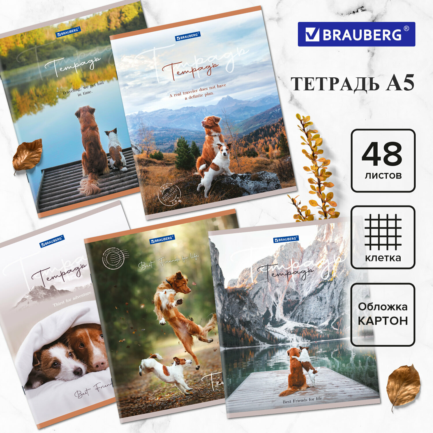 Тетрадь А5 48 л. BRAUBERG скоба, клетка, обложка картон, "Best Friends", 404360, 5шт