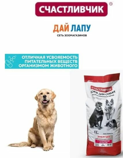 Корм для активных собак сухой, Счастливчик, энергия, Телятина с рисом, 15 кг