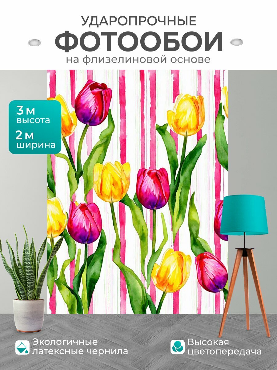 Фотообои моющиеся ударопрочные "Цветы в стиле декоративная акварель, яркие тюльпаны в раскрашенных полосах" 200x300 см. флизелиновые на стену