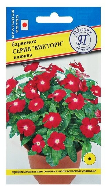 Семена цветов Барвинок 'Виктори' Клюква, О, 10 шт
