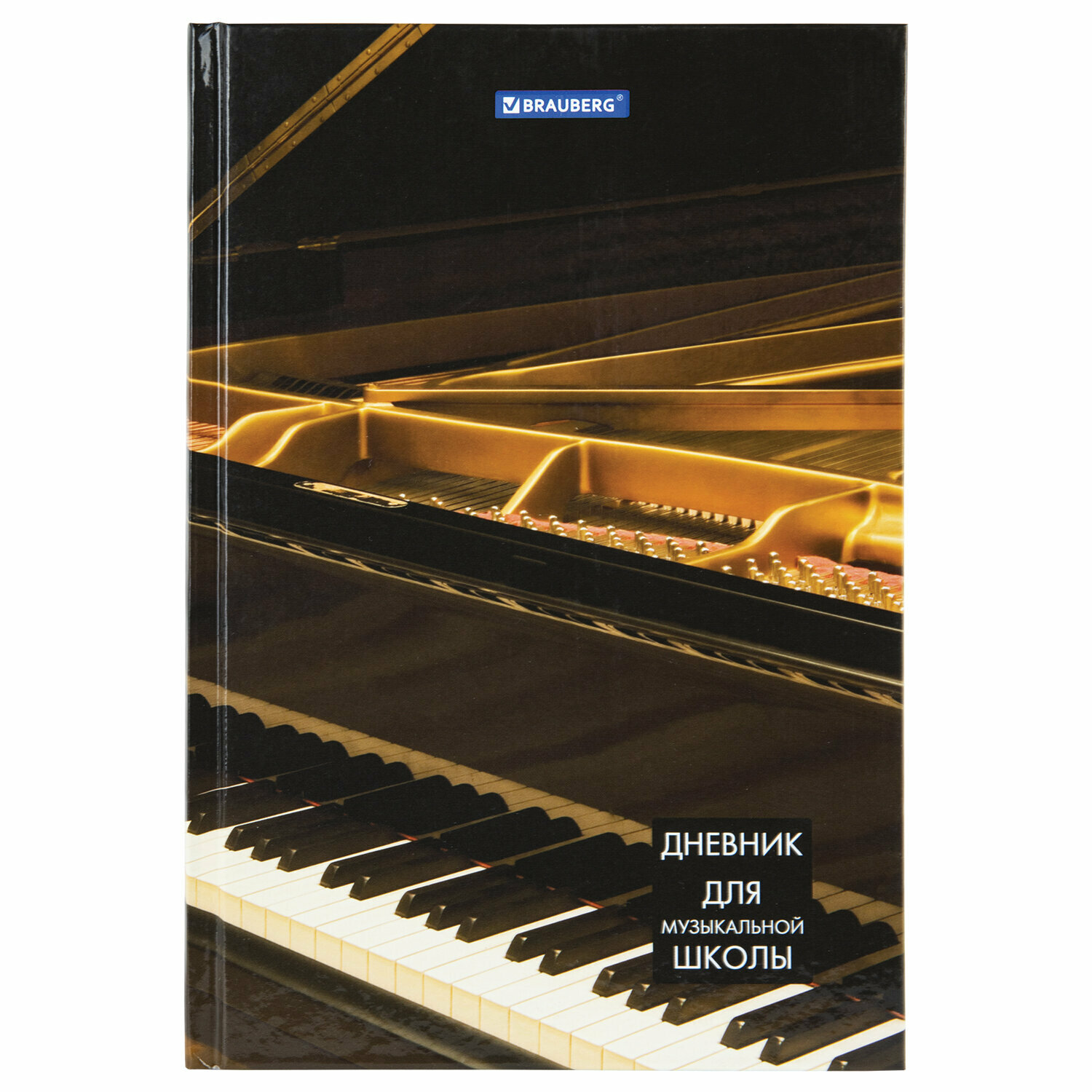Дневник для музыкальной школы Brauberg твердый, ламинированная обложка, со справочным материалом, Концерт (103279)