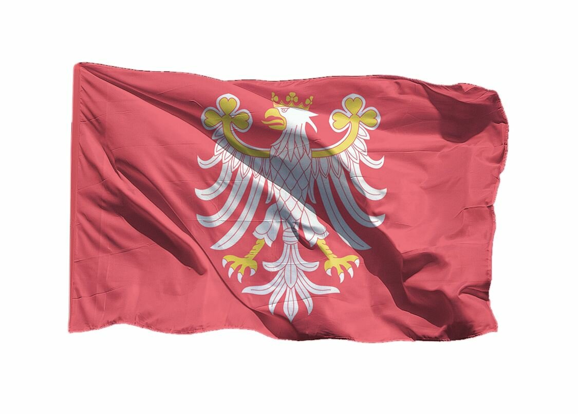 Флаг Королевства Редания из Ведьмака 90х135 см на сетке для улицы, для флагштока