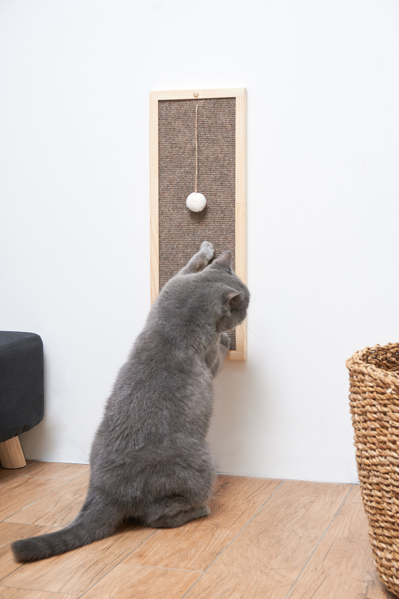 Когтеточка двухсторонная настенная ковролиновая с мятой и игрушкой массив дерева