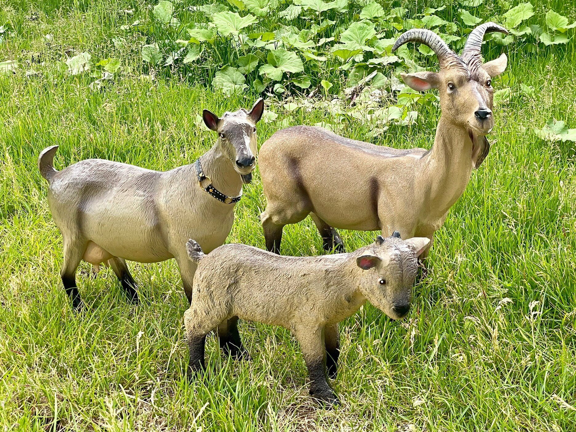 Садовые фигуры - Семья Коз