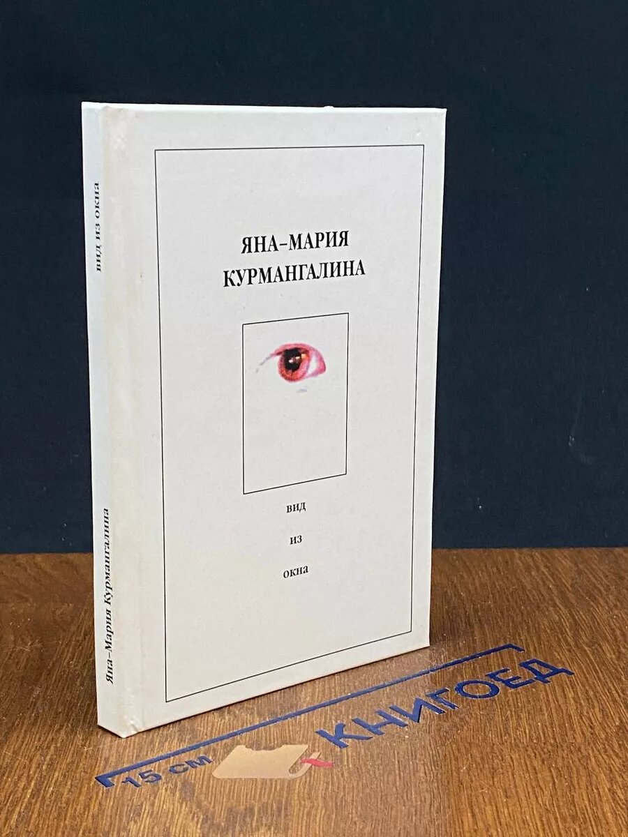 Книга. Вид из окна 2008 (2039651920632)