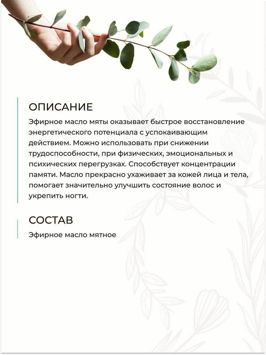 (2шт) Эфирное масло мятное КР, 5 мл