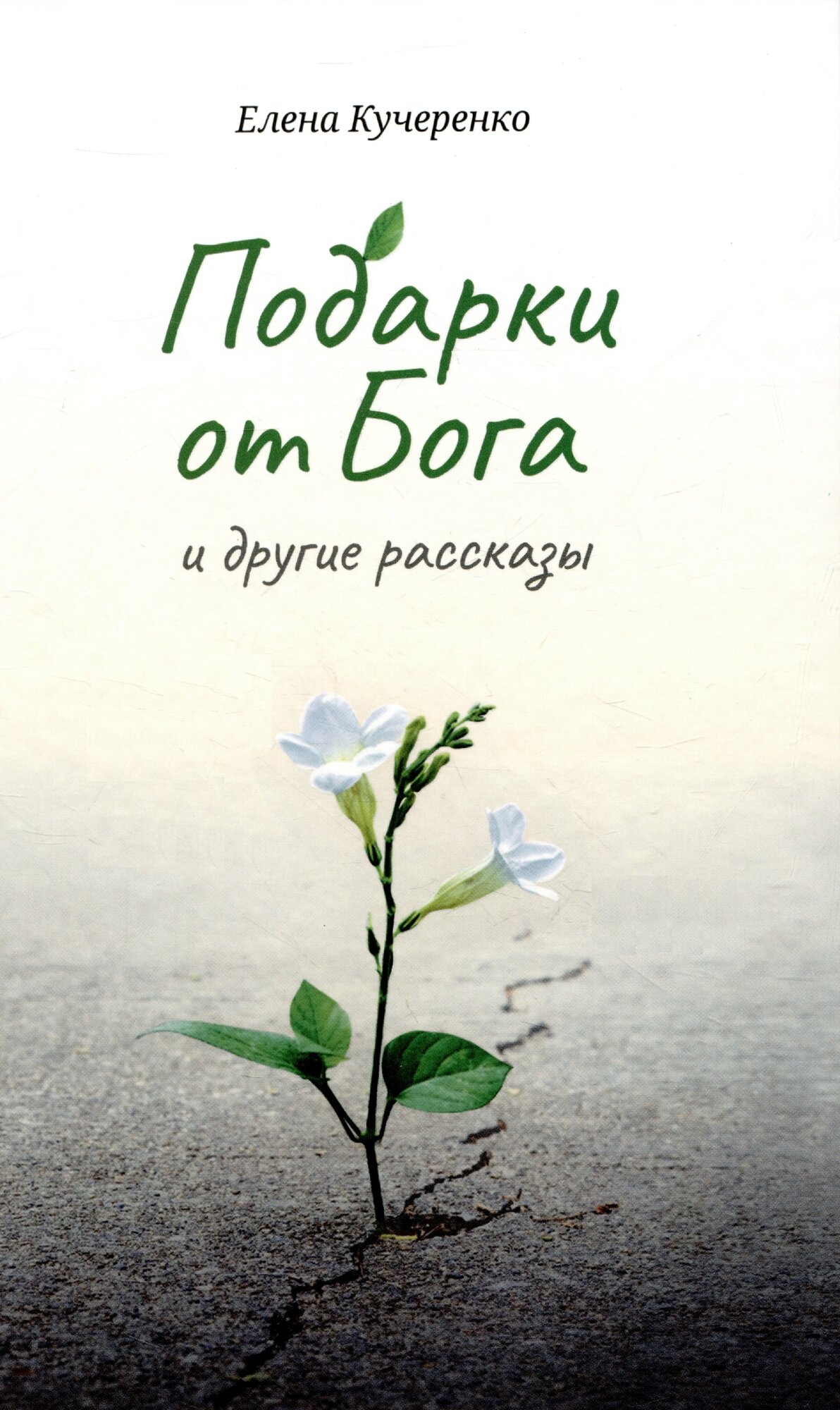 Книга: "Подарки от Бога и другие рассказы" от Кучеренко Е, русский язык, Современная российская проза
