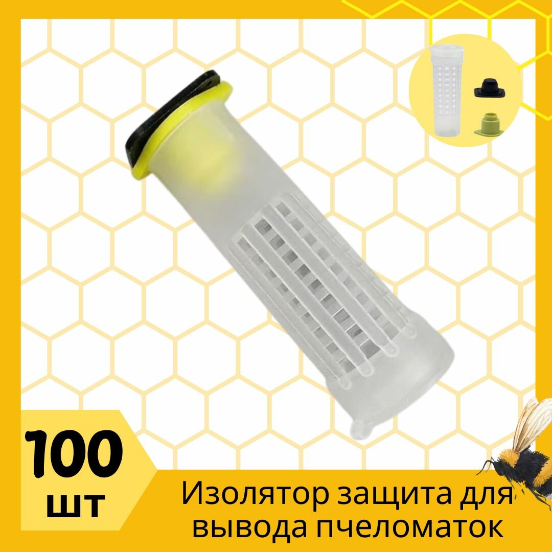 Набор для вывода пчеломаток 100 шт: изоляторы, цоколи и держатели мисочек для пчеловодства