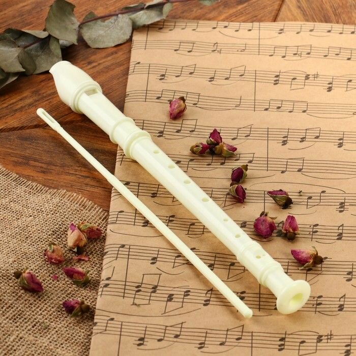 Блокфлейта Music Life бежевая, немецкая система, сопрано, 30 см (9446810)