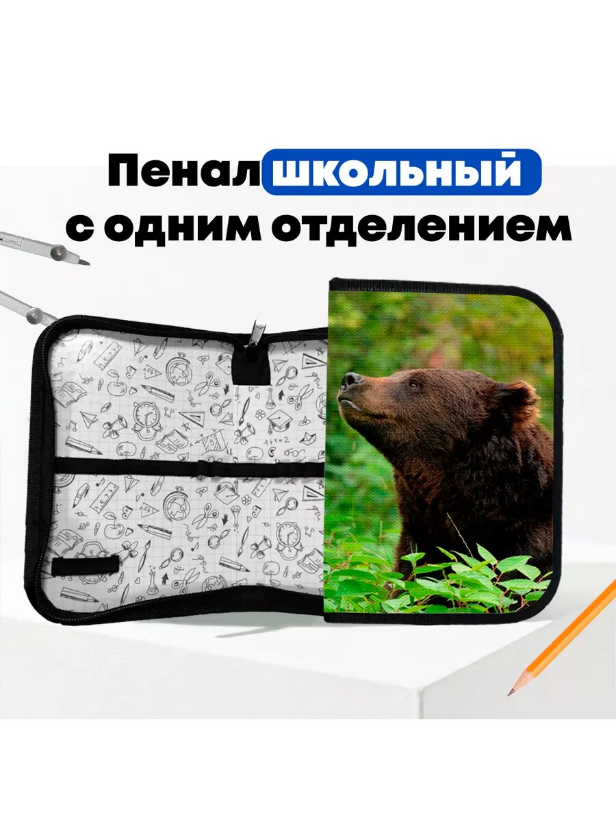 Школьный пенал Медведь