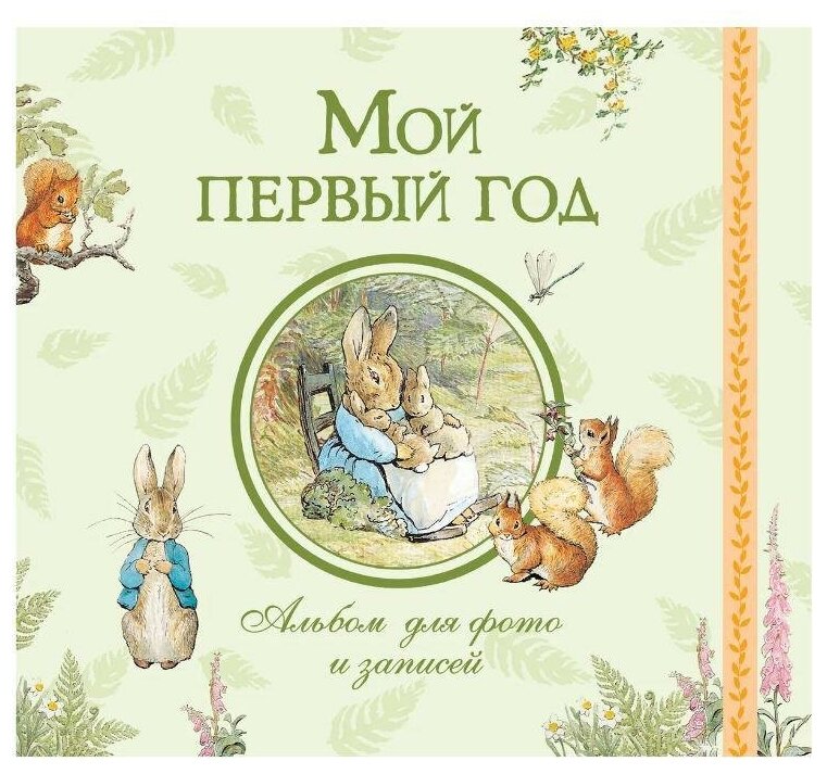 Соломкина А. К. Мой первый год Первый детский альбом для новорожденных