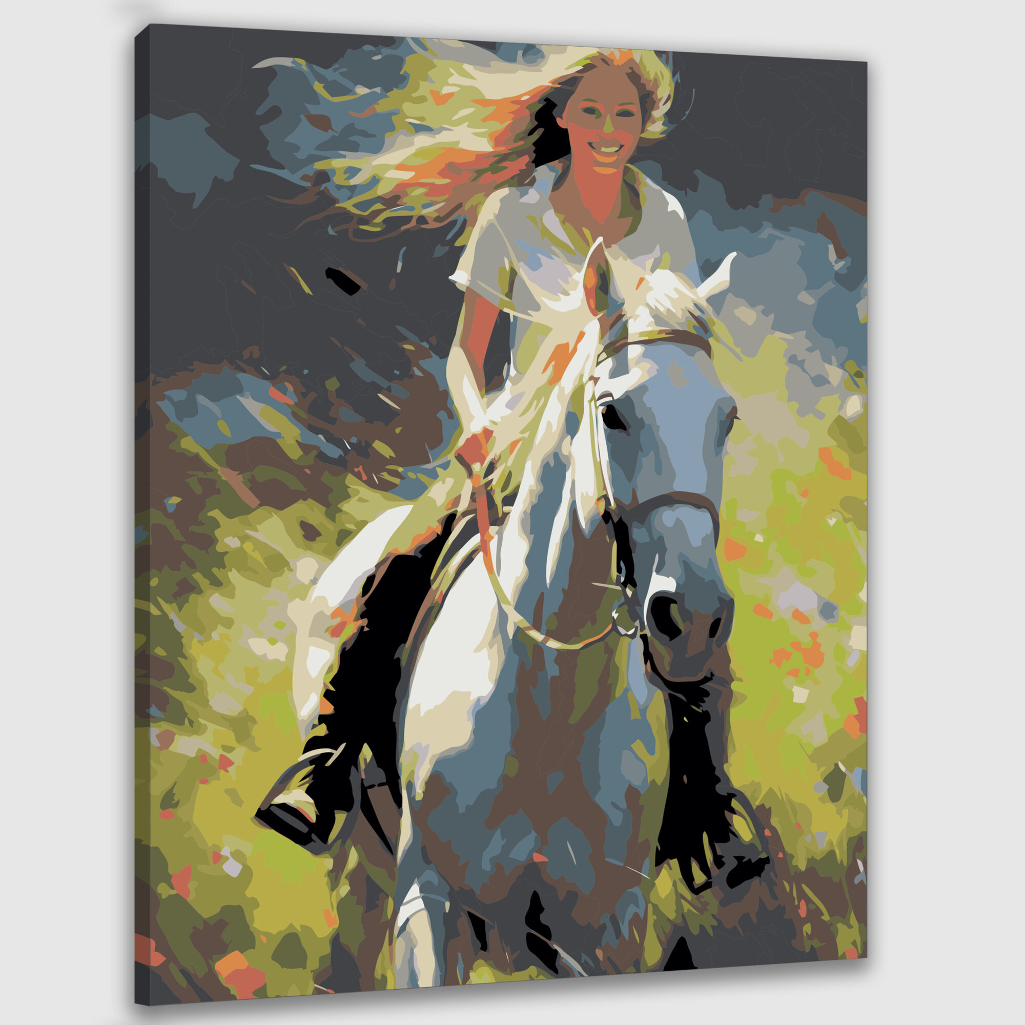 Картина по номерам 40x50 см, акриловая картина, девушка, скачущая верхом, лошадь, пышный луг, волосы на ветру, радость