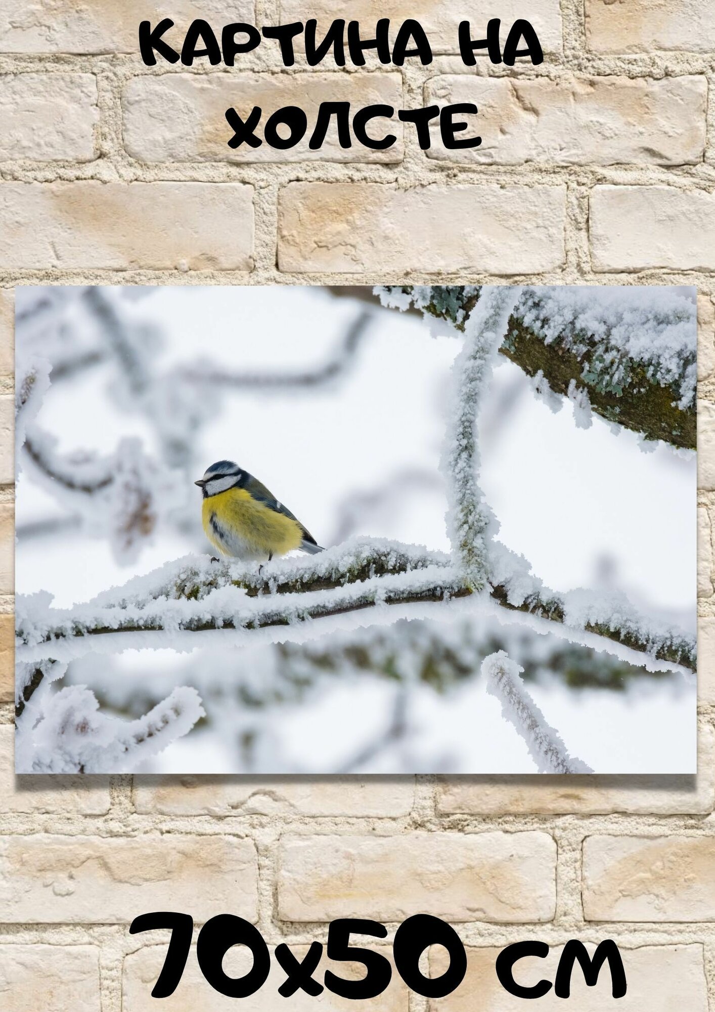 Картина со снегом и Зимой / Птица на ветке в снегу