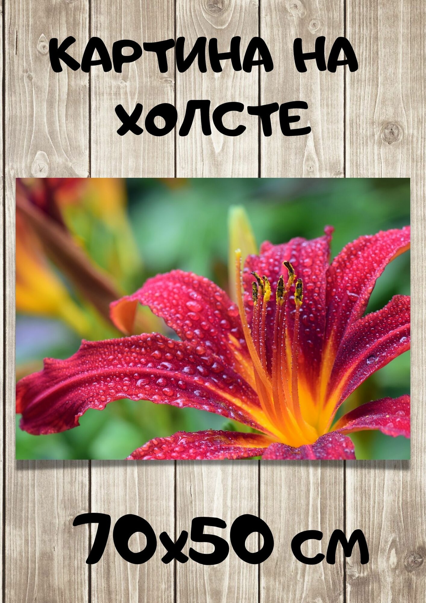 Картина летняя пора и солнце для интерьера на холсте / Яркий цветок летом