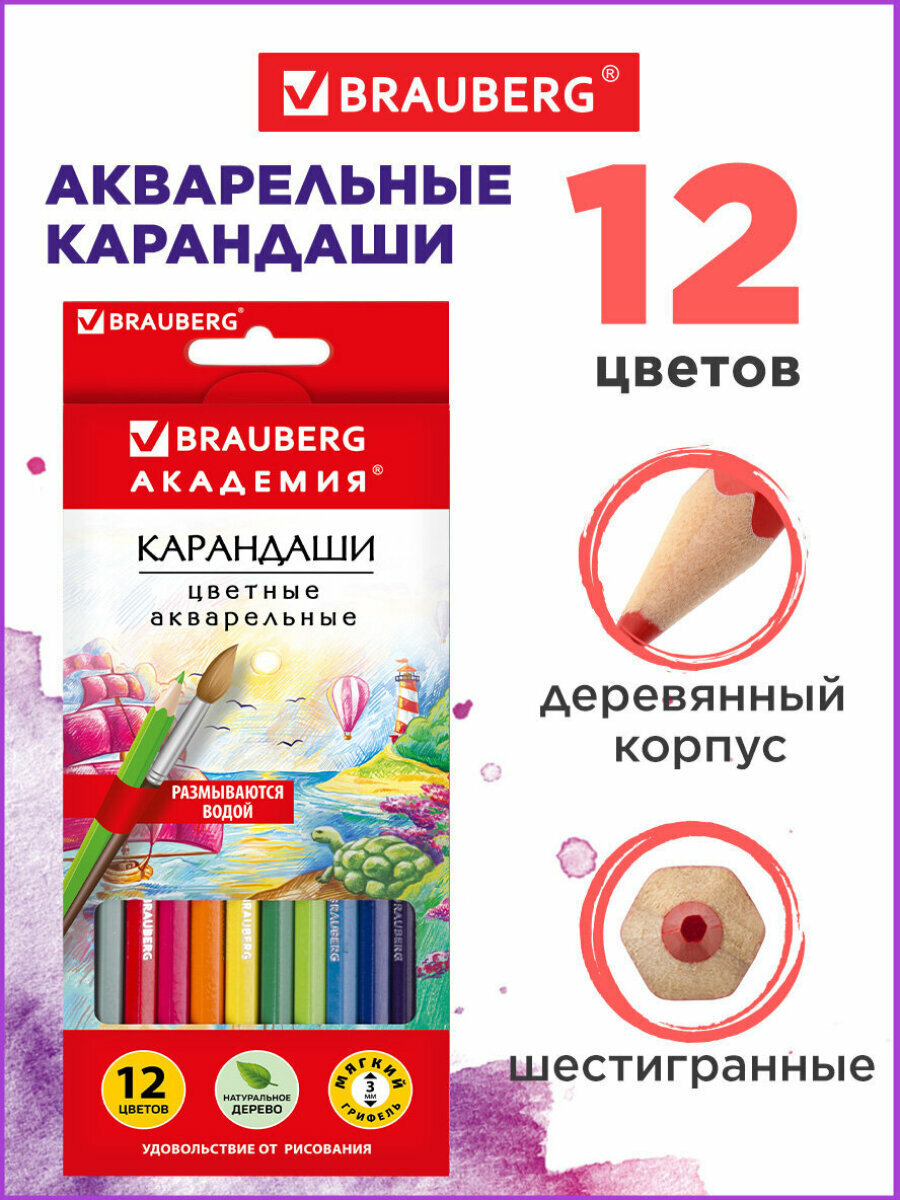 Карандаши акварельные цветные художественные для рисования "Академия", набор из 12 цветов, заточенные, шестигранные, Brauberg, грифель 3 мм, натуральное дерево, 181398