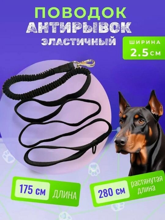 Поводок Антирывок амортизирующий прорезиненный для собак средних и крупных пород, длина 1.75 м, ширина 2.5 см черный