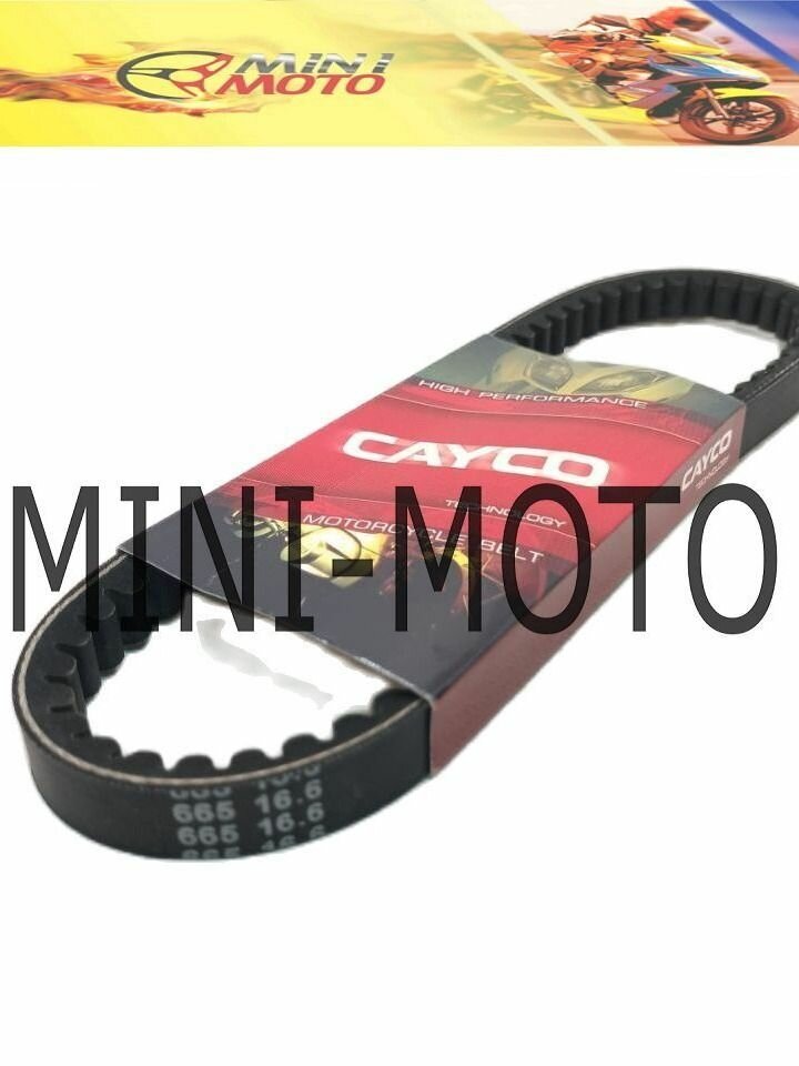 Ремень вариатора 665X16,6 Kayco