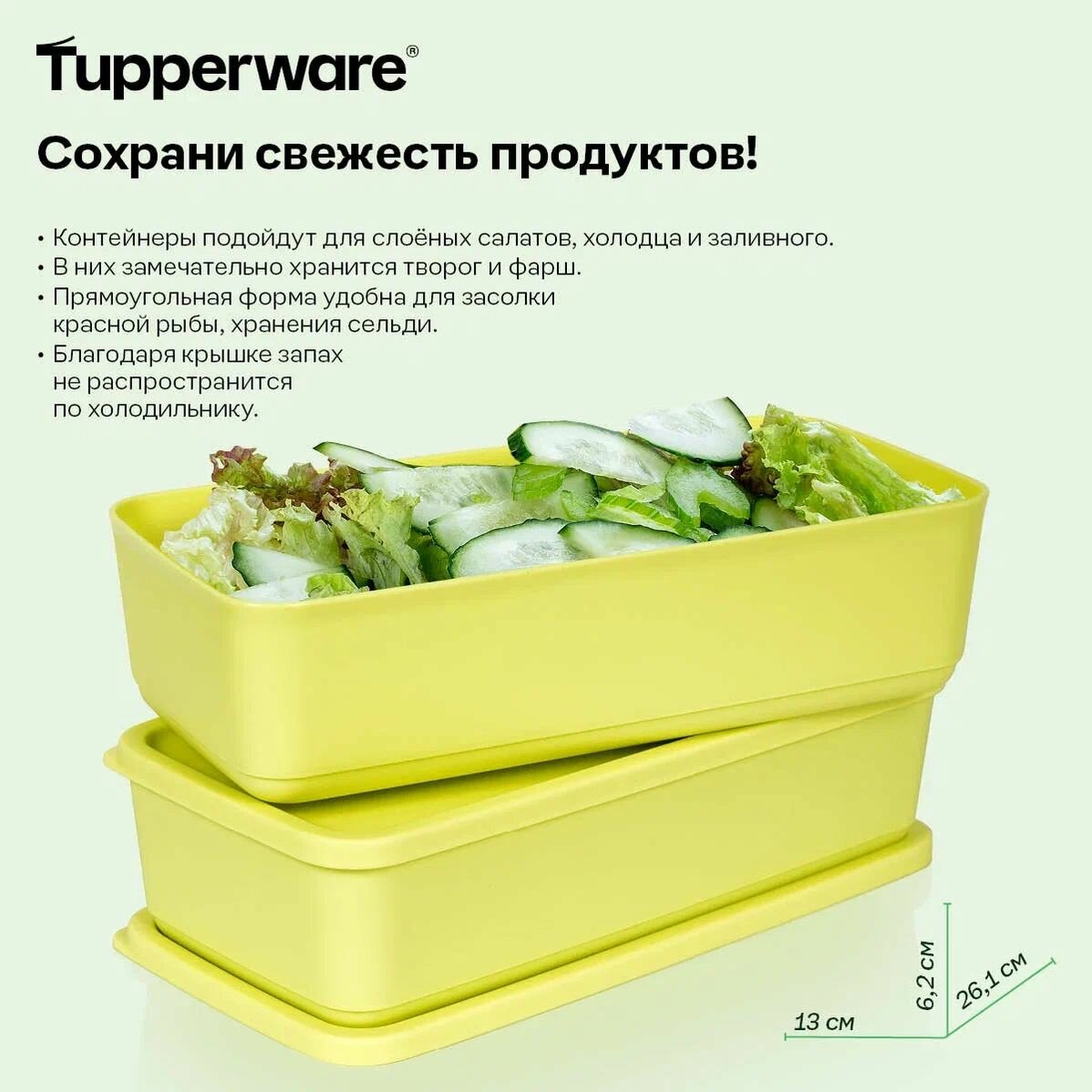 Контейнер "Кубикс" прямоугольный 1.4л, салатовый 2 шт Tupperware
