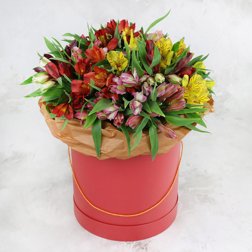 Монобукет "Букет из 25 альстромерии в коробке", 25 цветков, 45 см