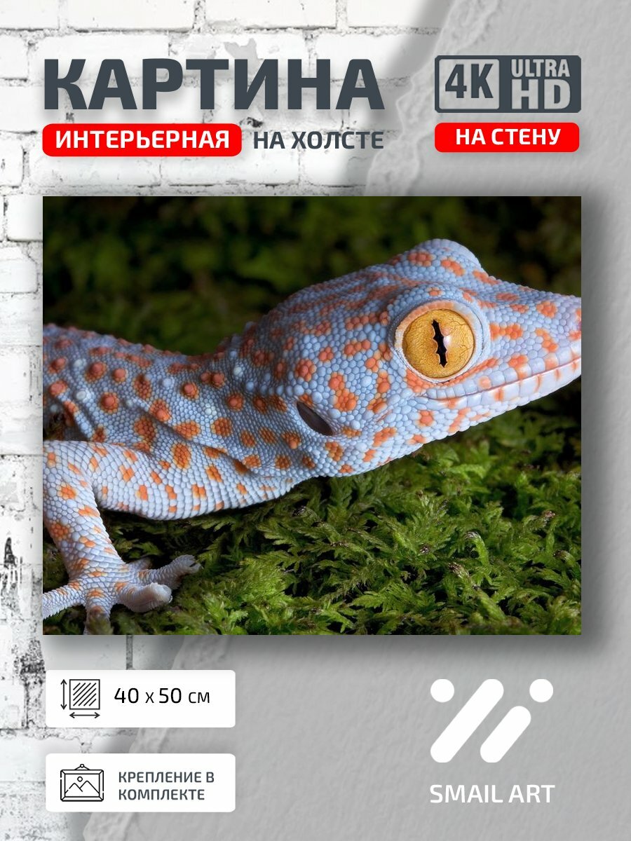 Картина на холсте интерьерная 40 на 50 на стену Ящерица Mood для спальни атмосфера интерьер