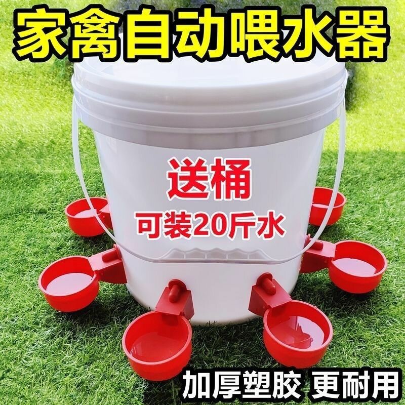 Полностью автоматическая поилка для птицеводства, новая модель поилки для кормления кур, поилка для крупных кур, уток, гусей и маленьких кур