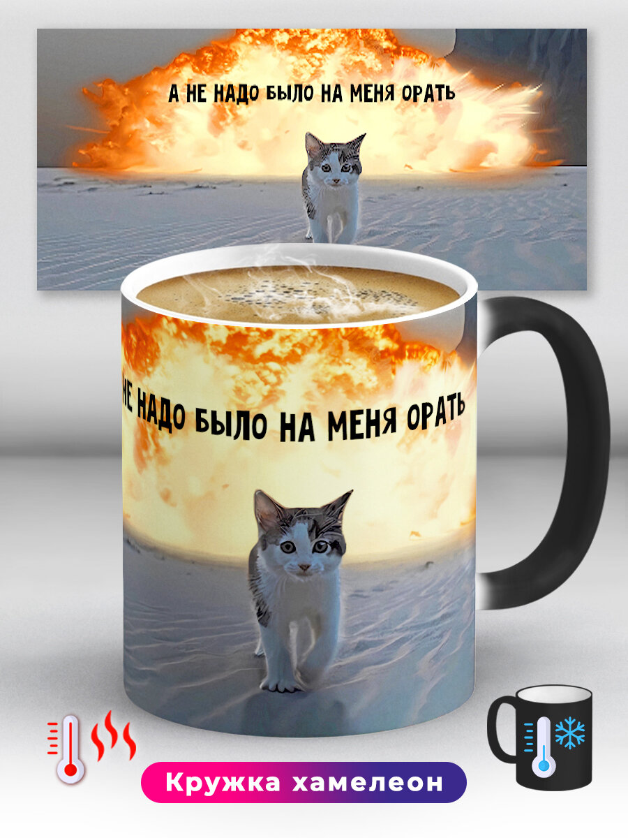 Кружка хамелеон мем прикол Кот А не надо было на меня орать