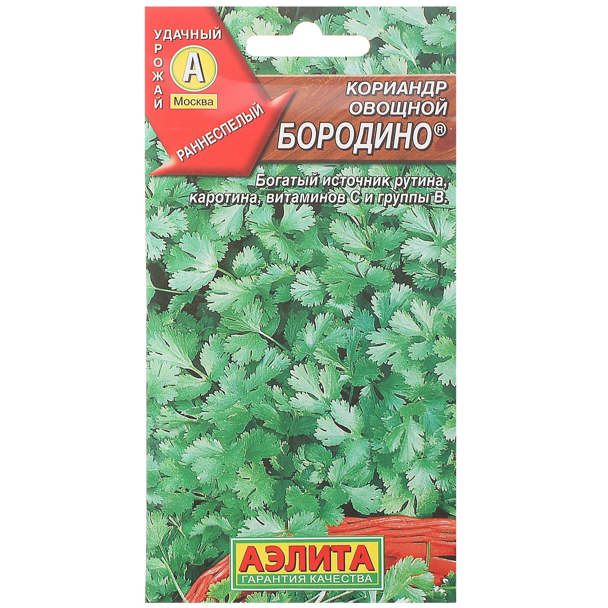 Семена Кориандр овощной «Бородино», для дачи, сада, огорода и на рассаду