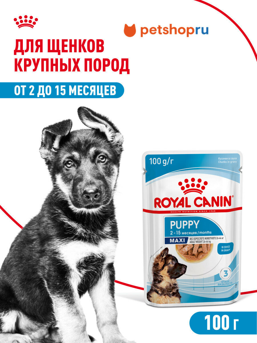 Royal Canin Влажный корм для щенков крупных пород Maxi Puppy, кусочки в соусе, паучи 100г