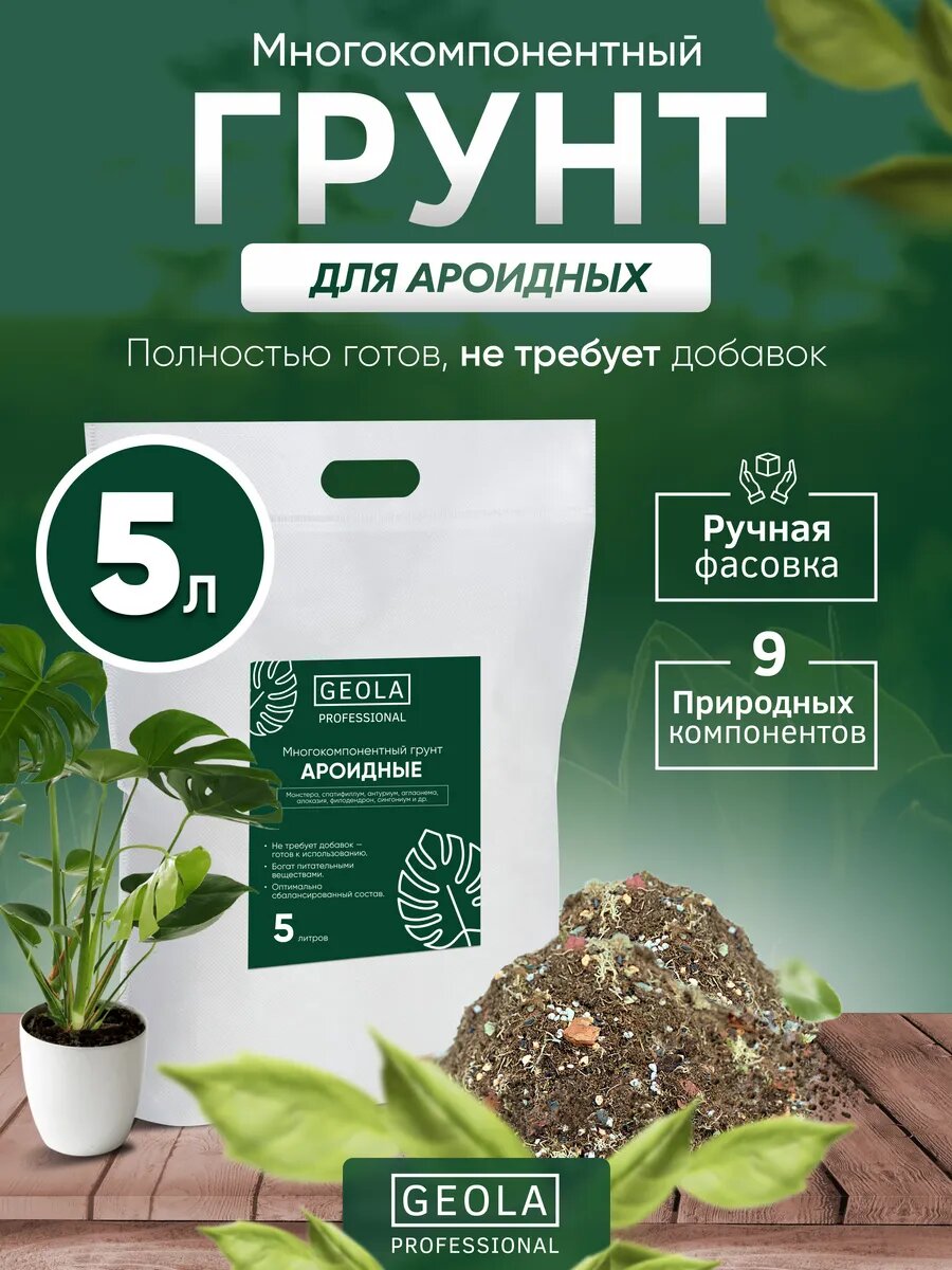 Грунт для ароидных растений