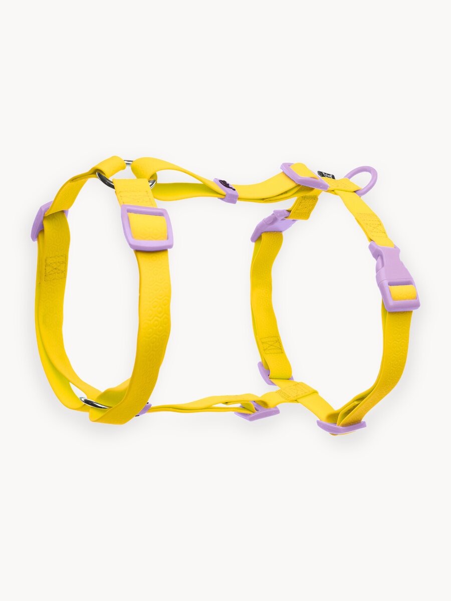 Шлейка для собак и кошек анатомическая из биотана "Лимонная черника", размер M 2*50-70см, , желтая, бренд Triol
